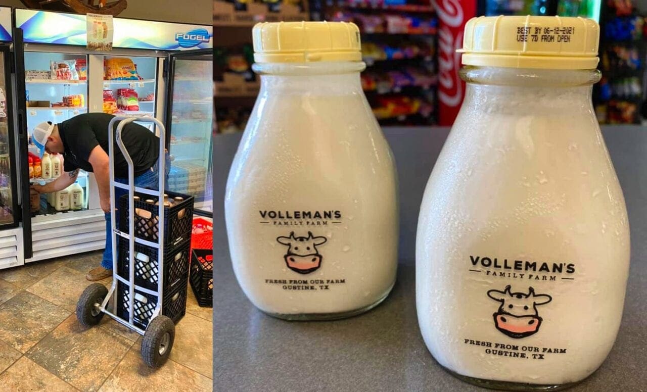 NEW! Volleman's Pint Size Heavy Cream - Westphalia Market
